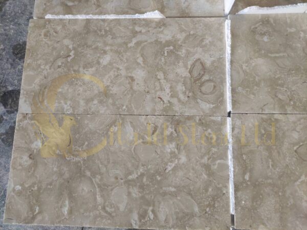 Ocean Reef Limestone Tiles Supplier In Arizona & Across USA