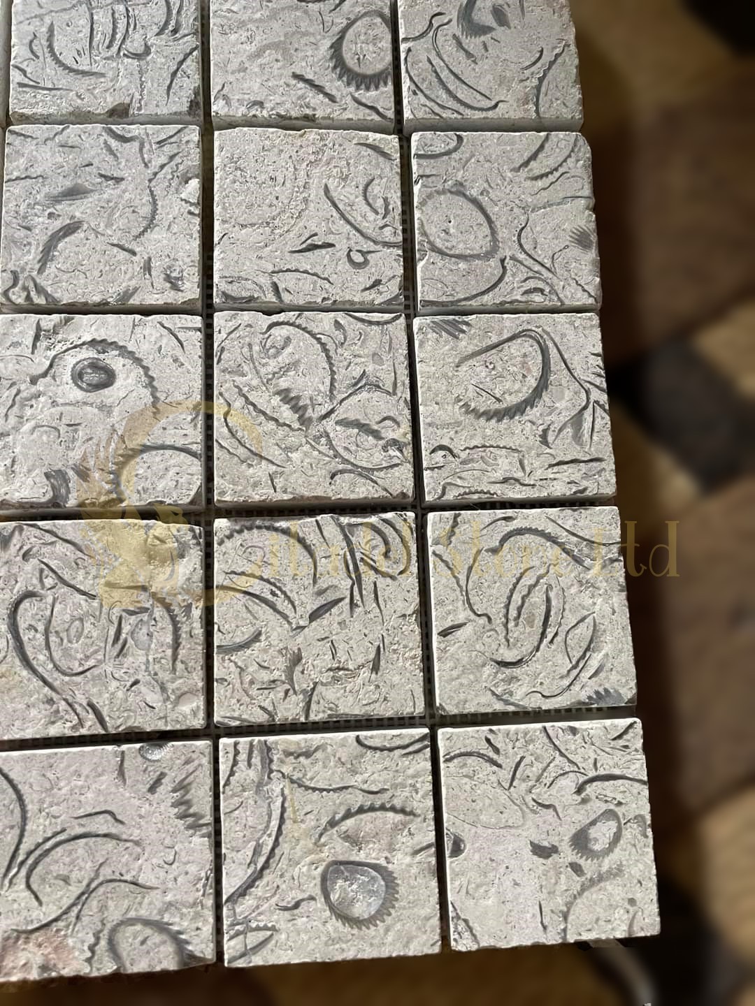 Blue Cobble Stones With Fossils In Arizona | Citadel Stone Ltd