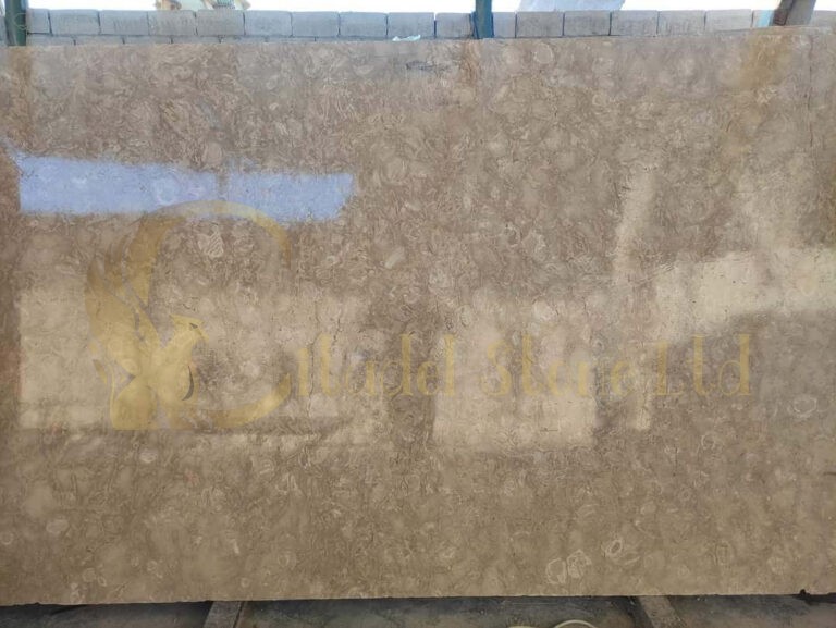 Shell Stone Tiles, Pavers & Copping | #1 The Original Source