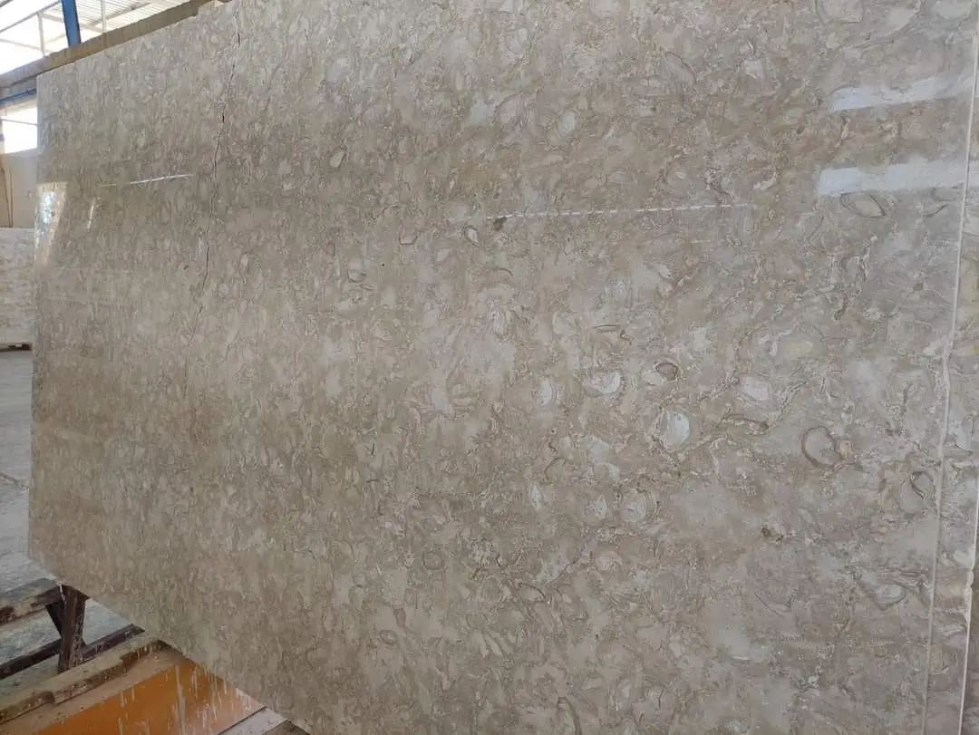 Ocean Reef White Limestone: Best Supplier & Fast US delivery